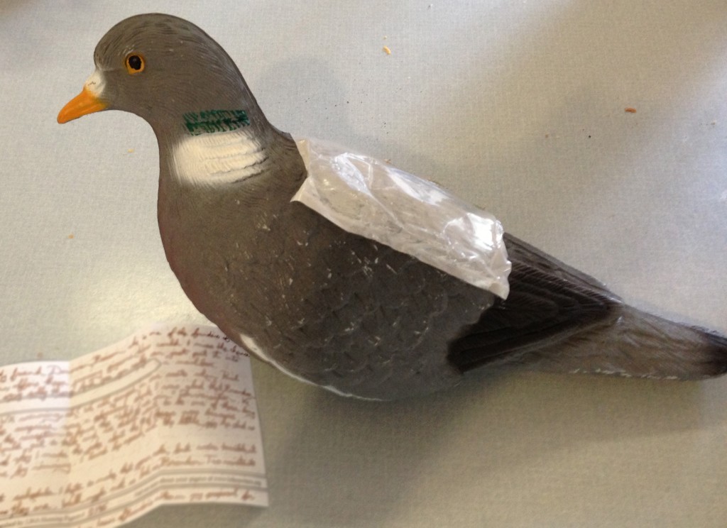 Adventures of the Postal Pigeon – One Cobble at a Time